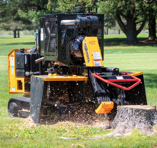Stump Grinders: Erase Tree Stumps Like a Pro Without Breaking Your Back